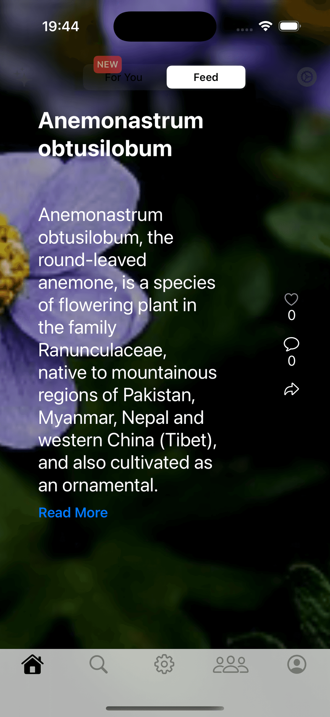 WikiTok - Scroll, Read & Learn | A New Way to Experience Wikipedia